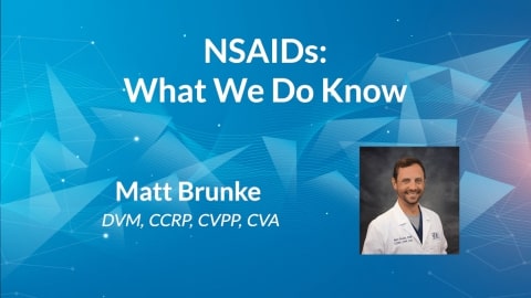 NSAIDs: What We Do Know | VETSCOPE