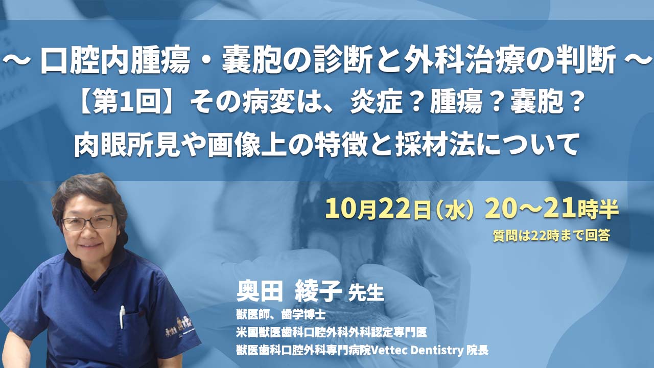 vetscopeマガジン | VETSCOPE